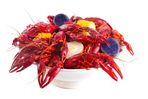 Whole crayfish for sale - Alfocan